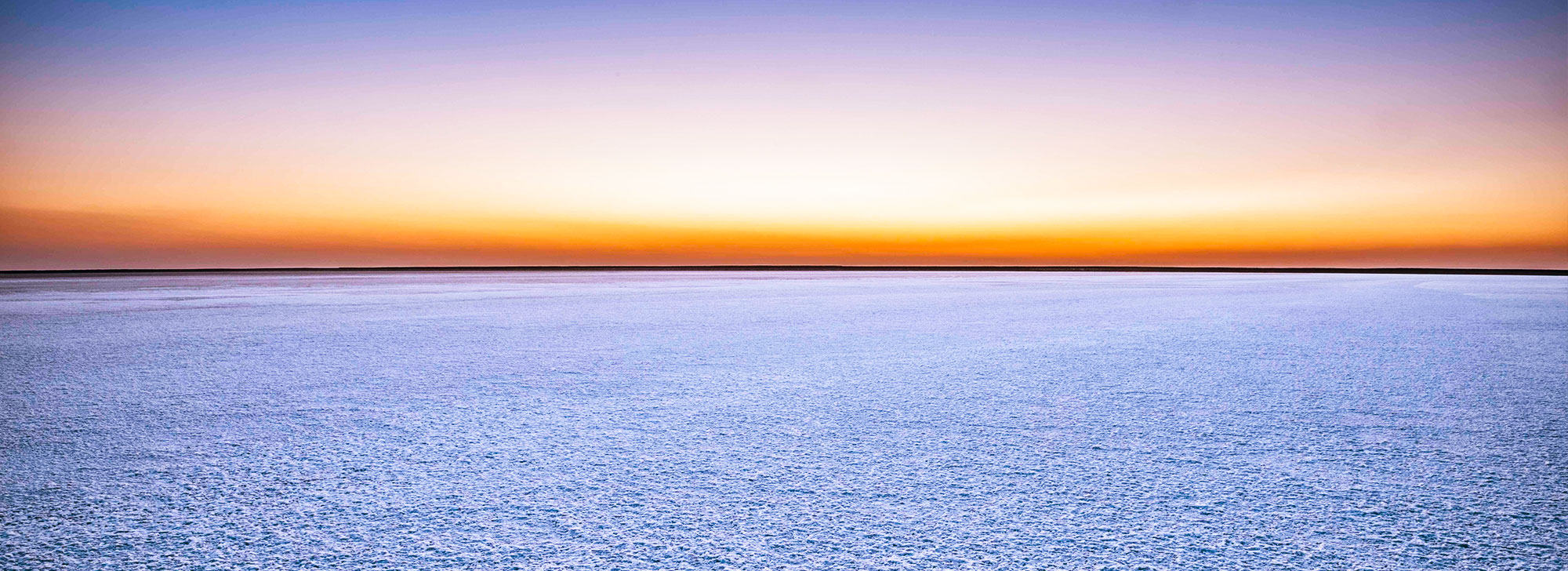Gujarat’s Wildlife Wonders: A Safari through the Rann of Kutch – Indian ...
