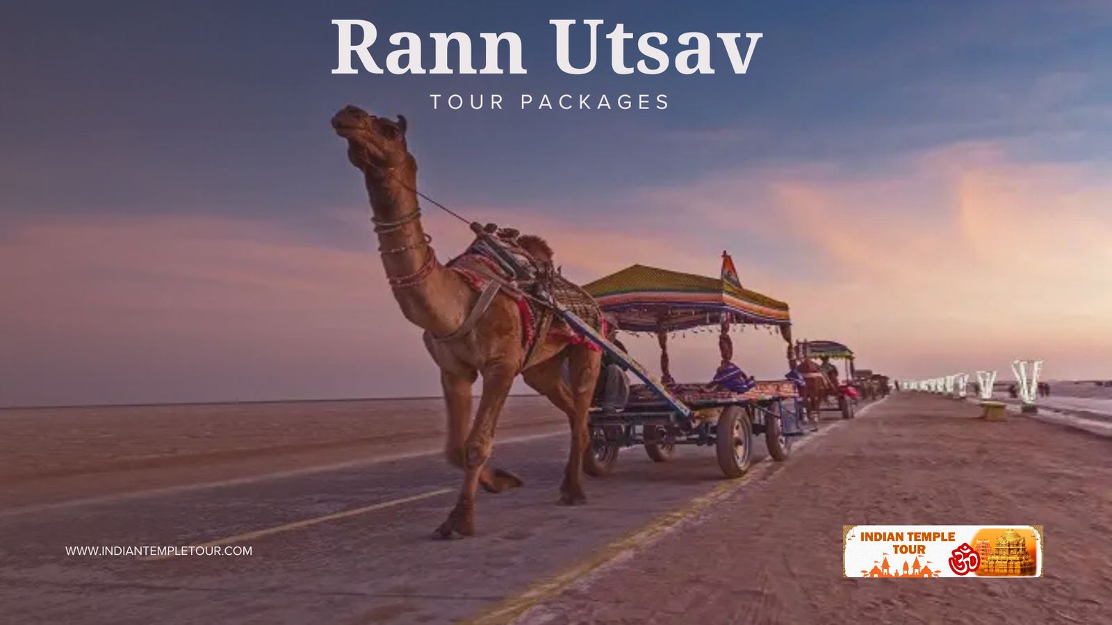 Rann Utsav Tour Packages 2025 – White Desert Festival Experience ...