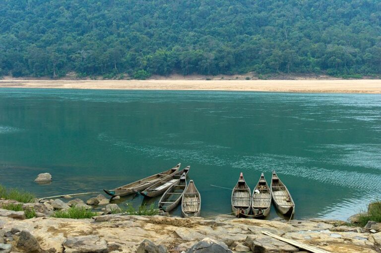 Tikarpada Wildlife Sanctuary Tour Package - Indian Temple Tour