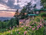 Landour Tour Package - serene retreat amidst Himalayan splendor